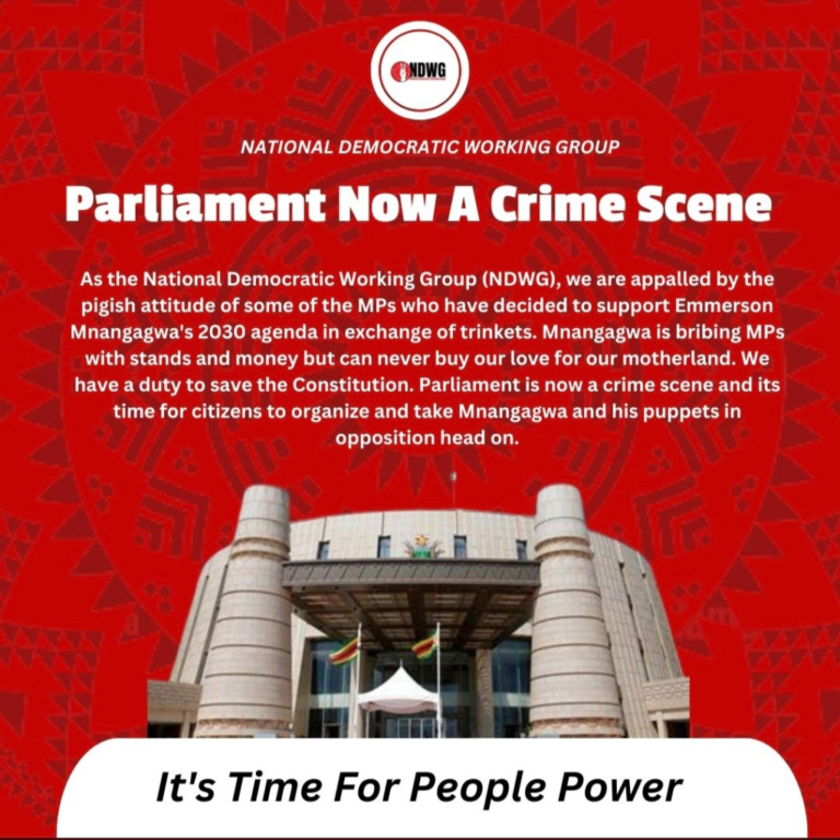 ZIMBABWE’S PARLIAMENT HAS BECOME A CRIME SCENE - SHARON N. ZOMBA